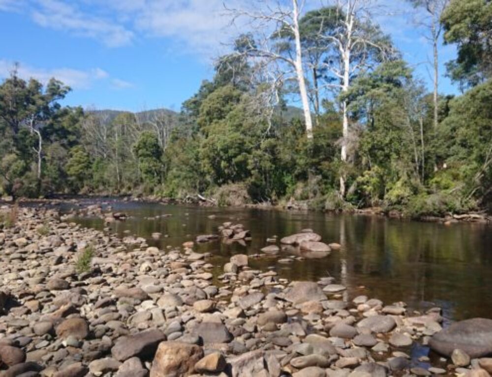 Little Pine Lagoon Tasmania – Trout Territory Fish Wild Tasmania